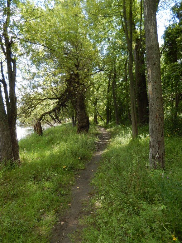 On the Farm: Free Time | Stephen Nielsen