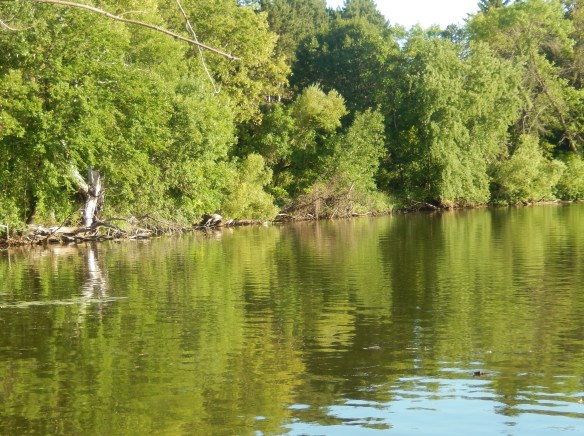 On the Water | Stephen Nielsen