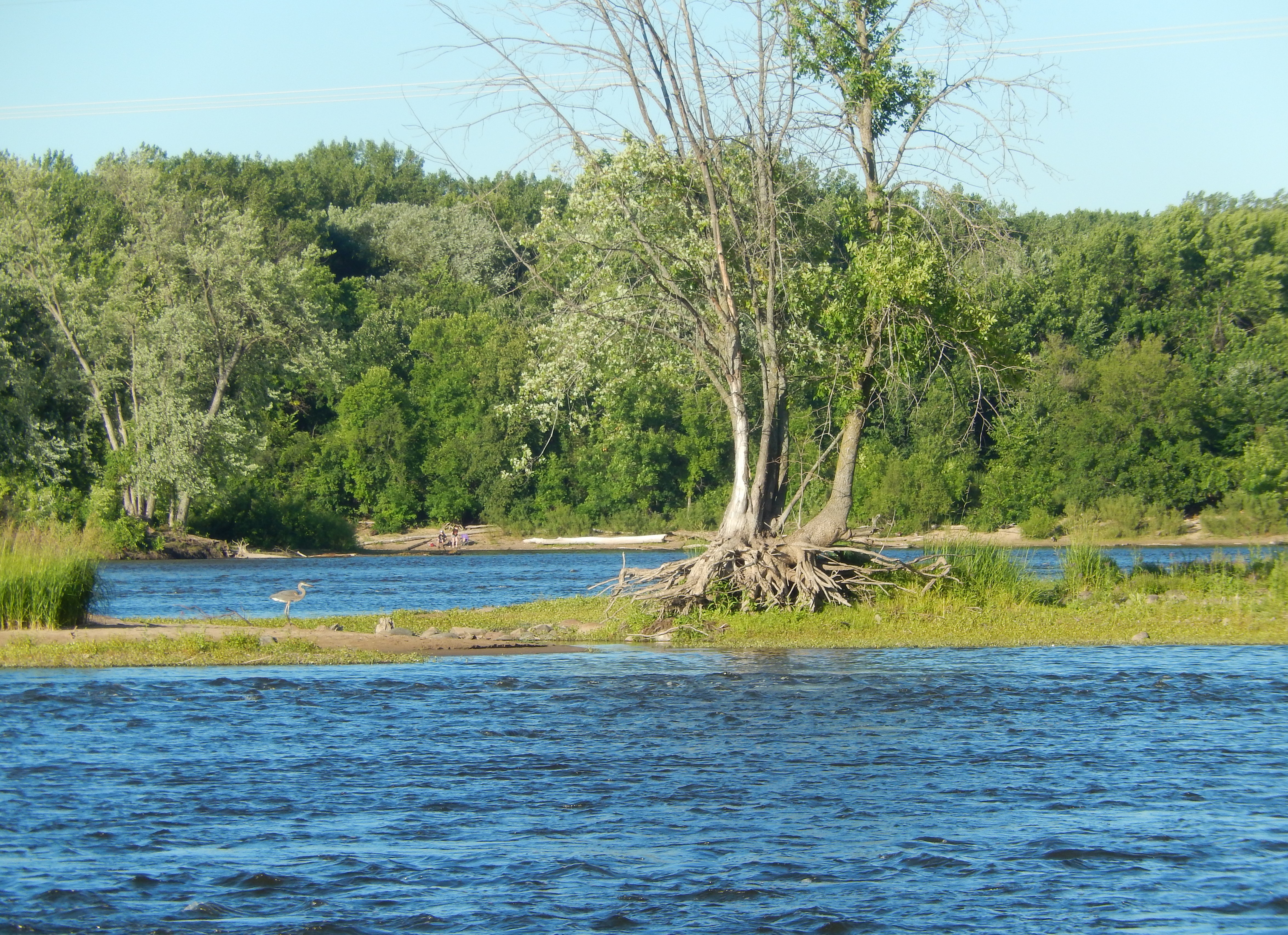 On the Water | Stephen Nielsen