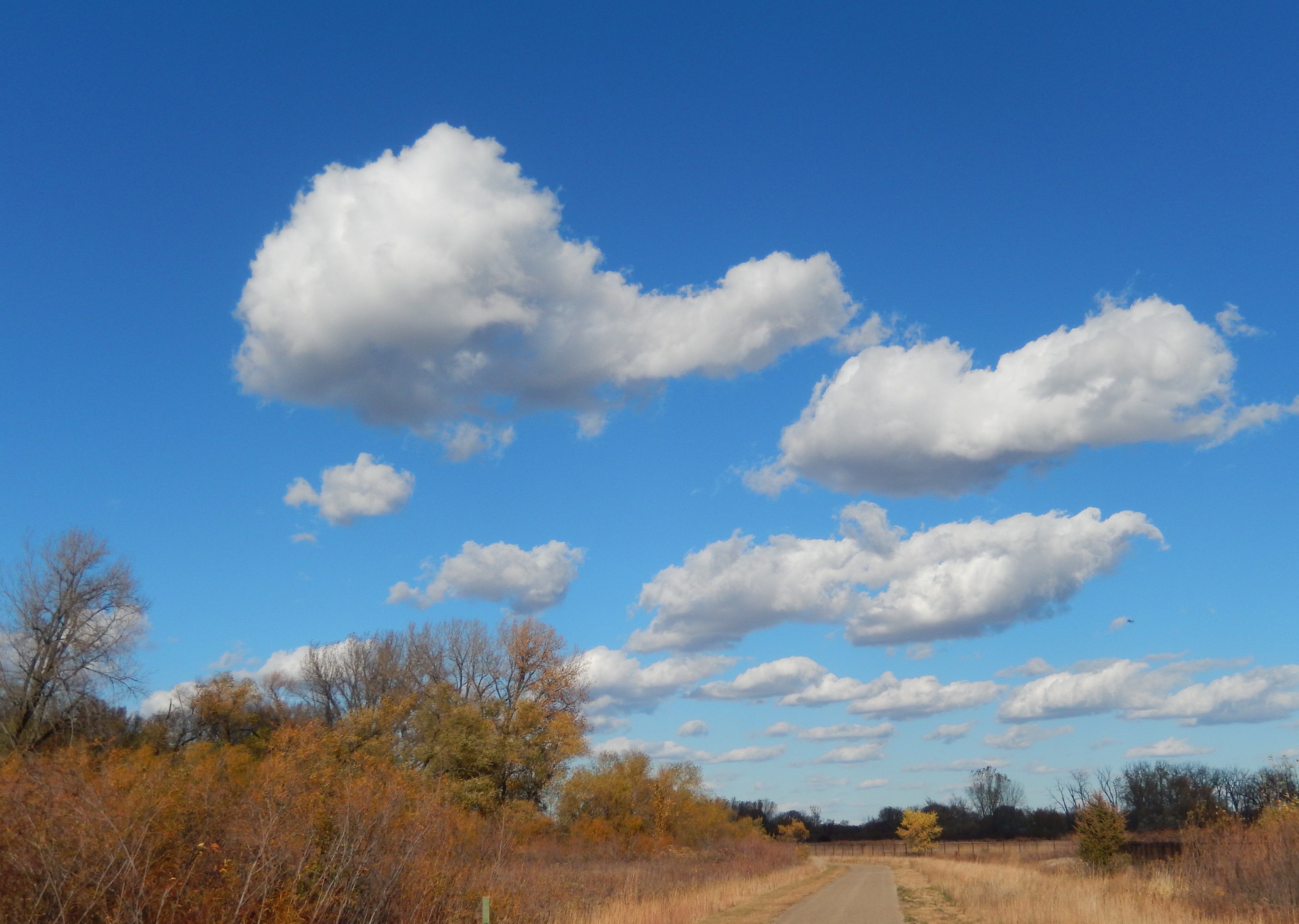 Lazy Clouds | Stephen Nielsen