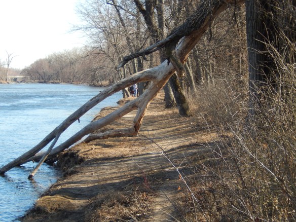 Trails with Meaning | Stephen Nielsen