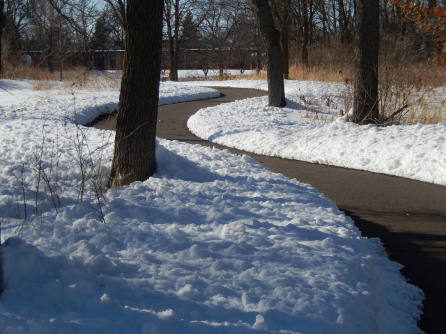 Seek Wisdom from Above and He will Make Your Paths Straight | Stephen ...