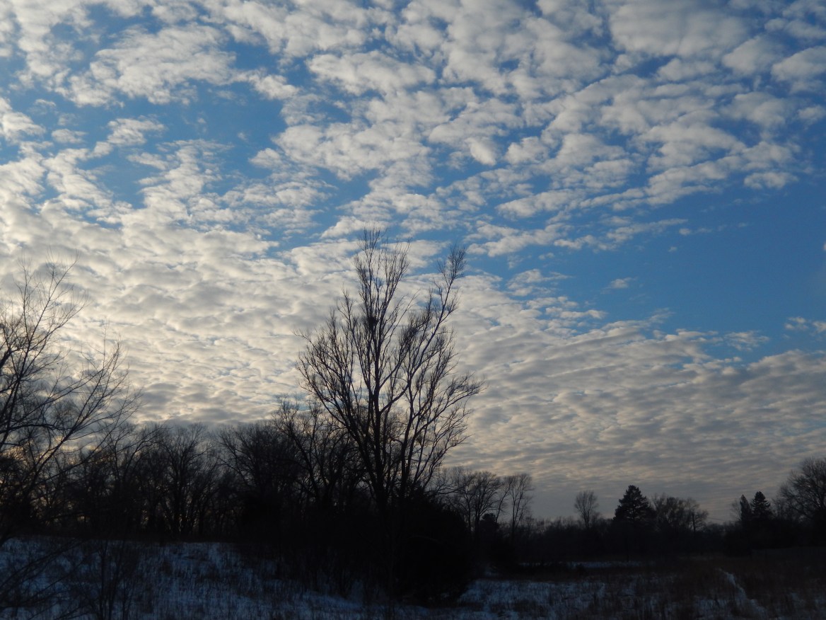A Stone of Stumbling | Stephen Nielsen