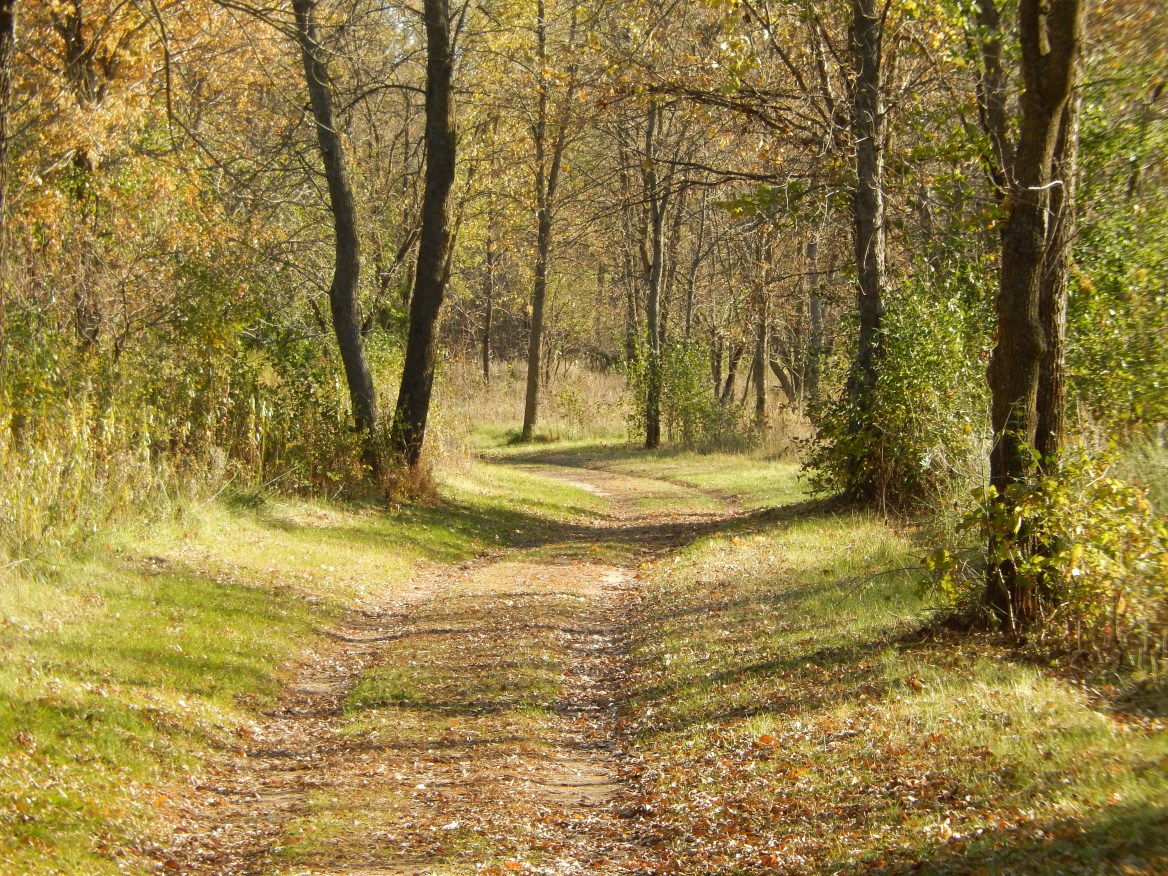 Called to Suffer as Christ Did | Stephen Nielsen