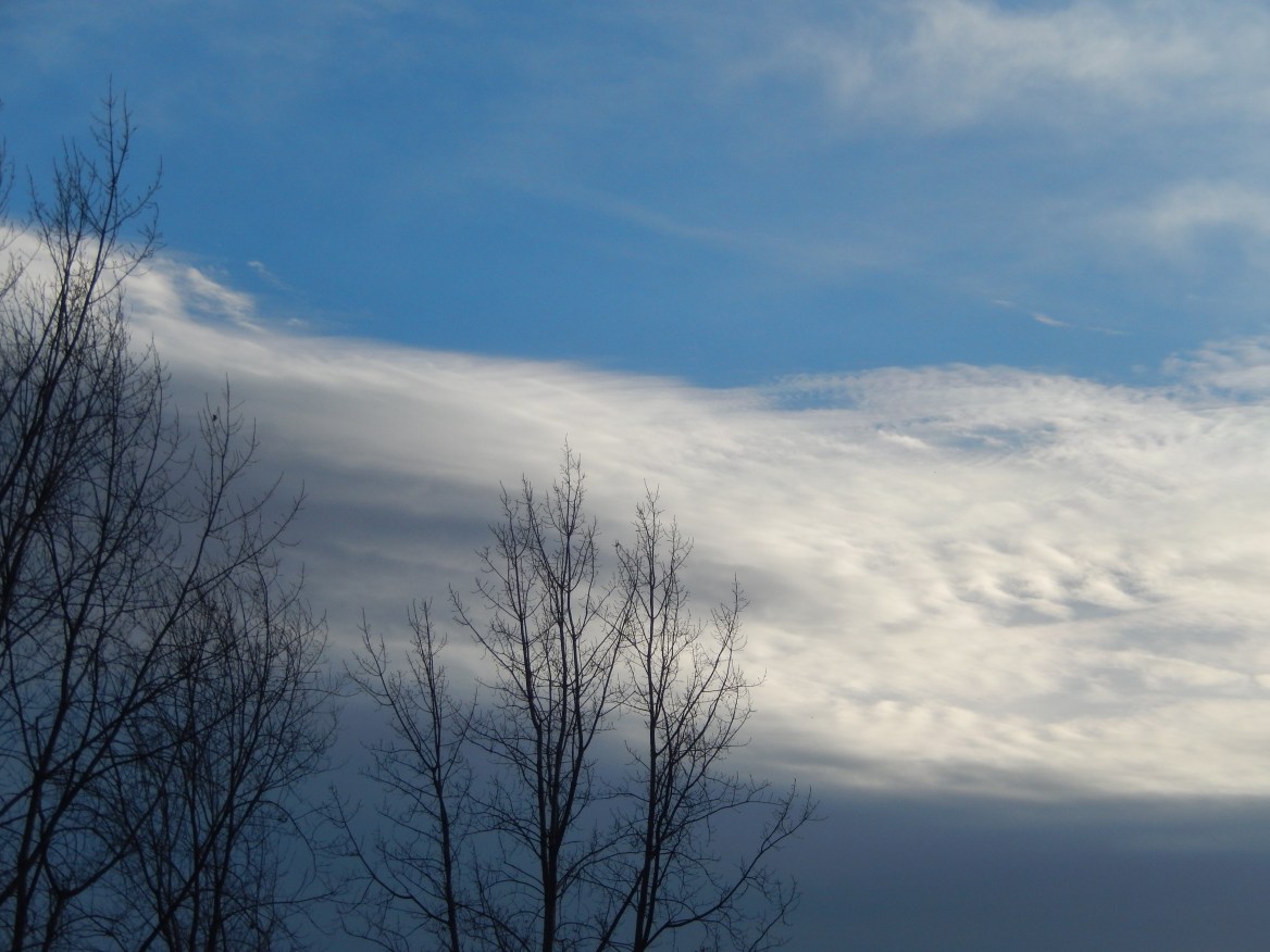 How Jesus Suffered | Stephen Nielsen