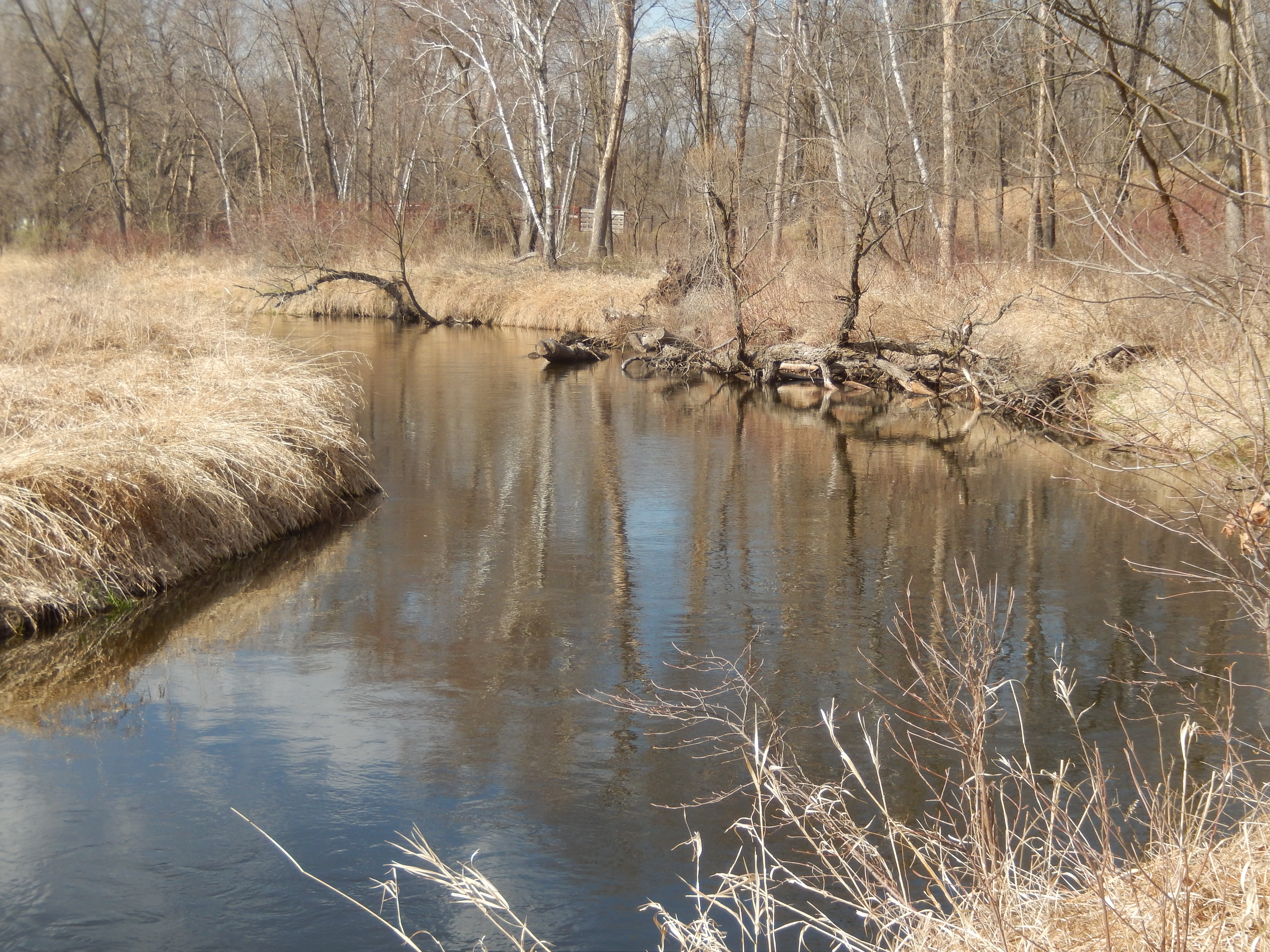Creek Rising | Stephen Nielsen