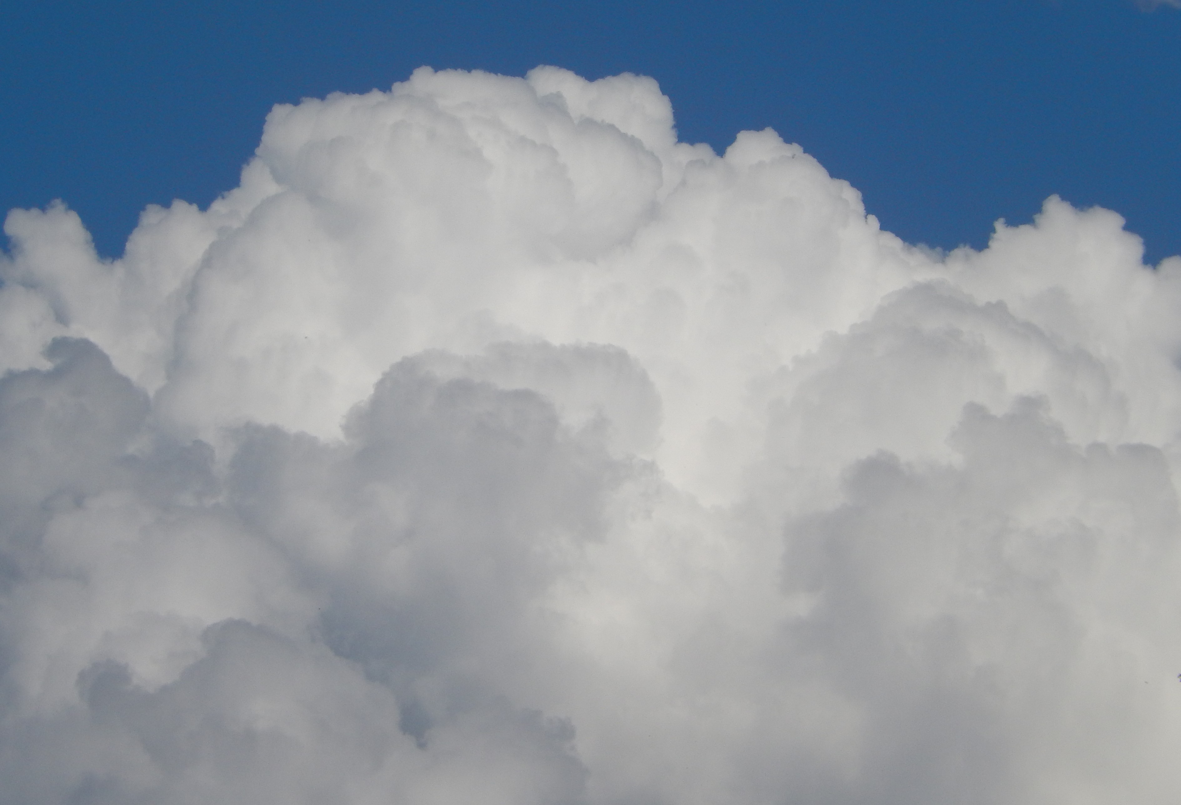 Clouds of Heaven | Stephen Nielsen