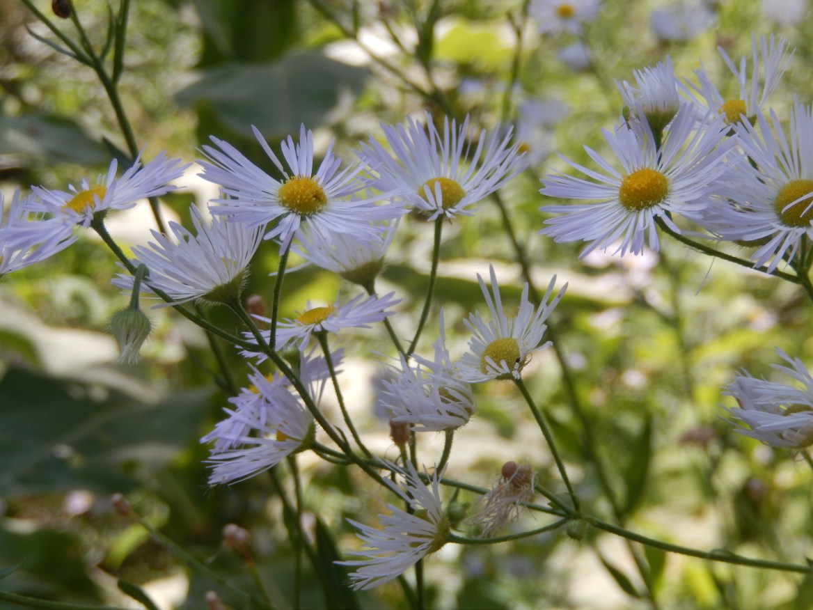 Our Great Inheritance | Stephen Nielsen