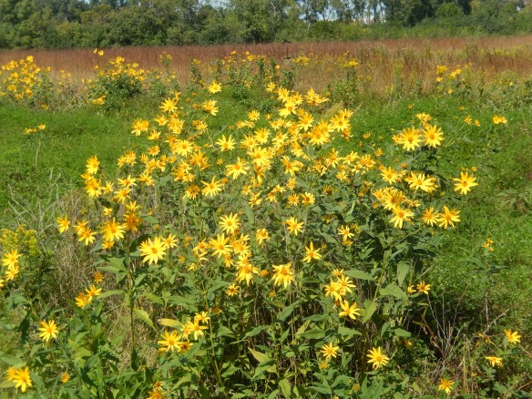 Late Summer Photos | Stephen Nielsen