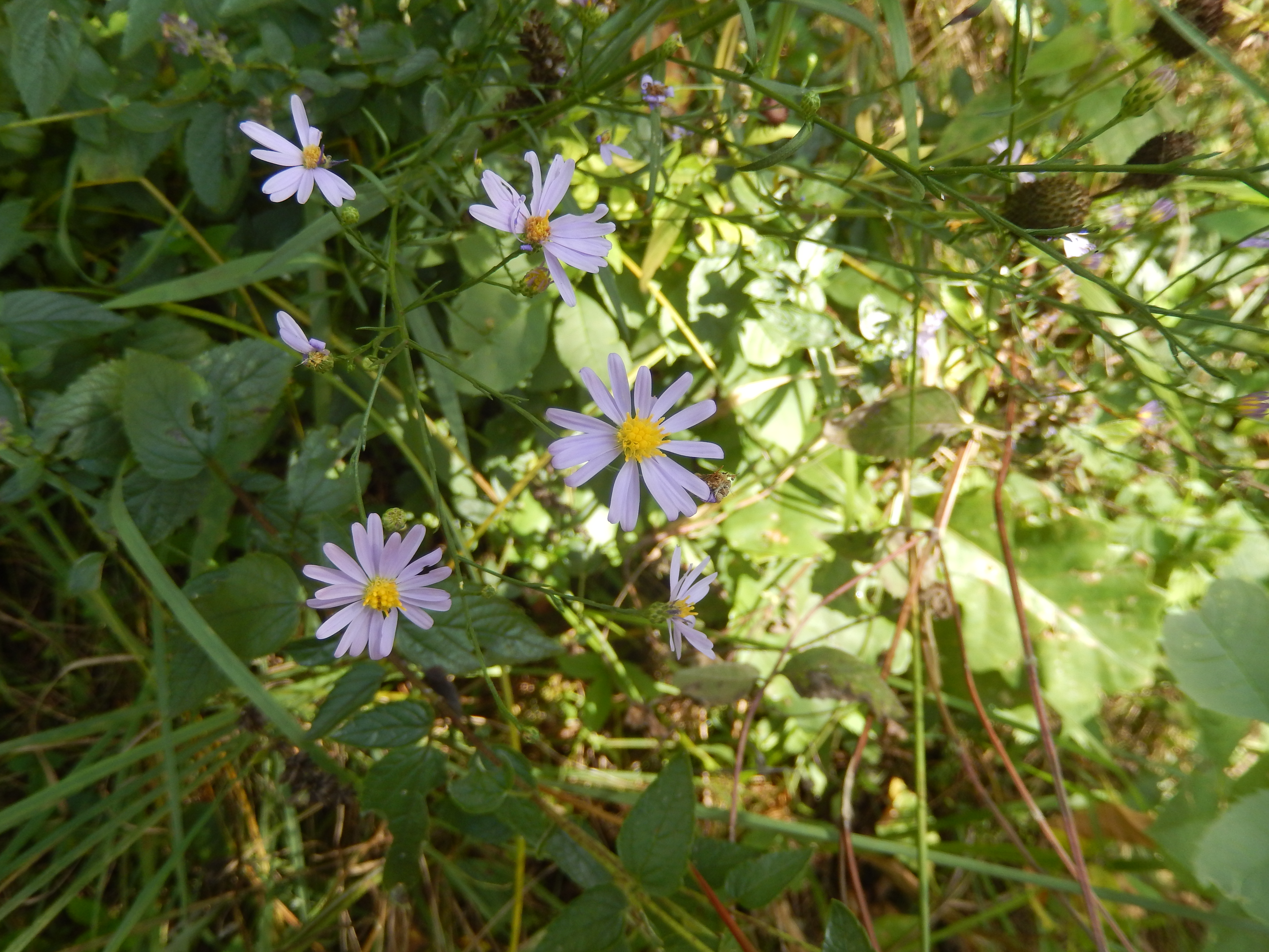 Late Summer Photos | Stephen Nielsen
